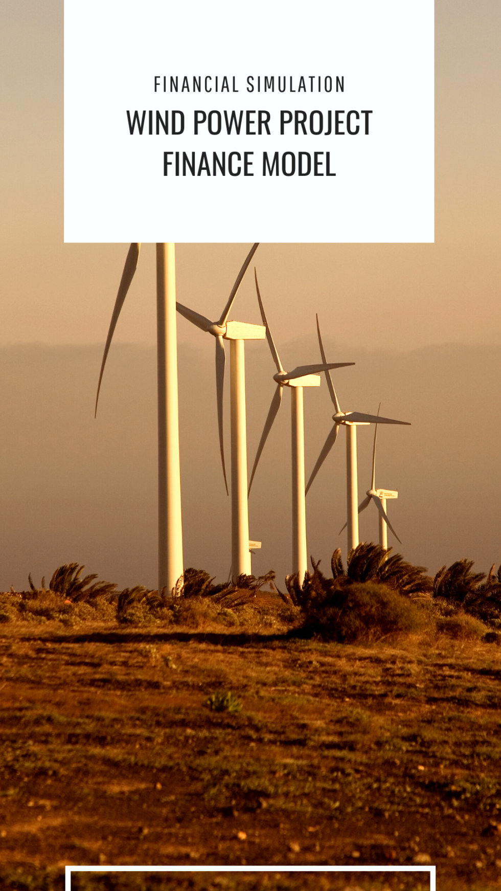 Financial simulation models in Excel - Financial Simulation